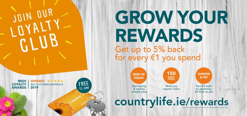 CountryLife takes gold in the 2019 Irish Loyalty Awards - CountryLife Blog