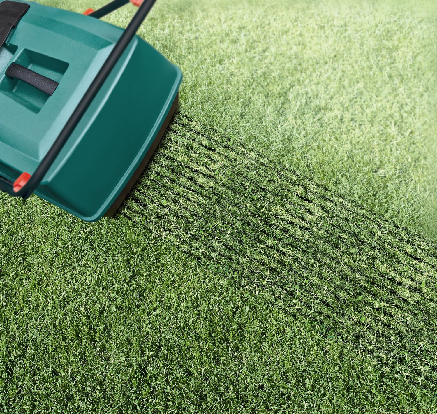 Summer Lawn Care - CountryLife Blog