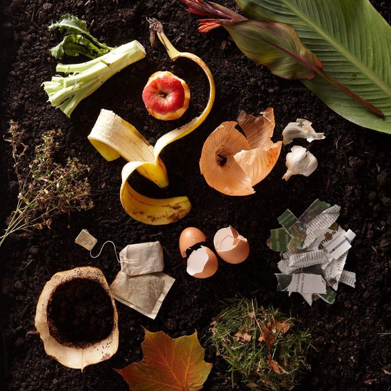 How to Make Compost at Home - CountryLife Blog