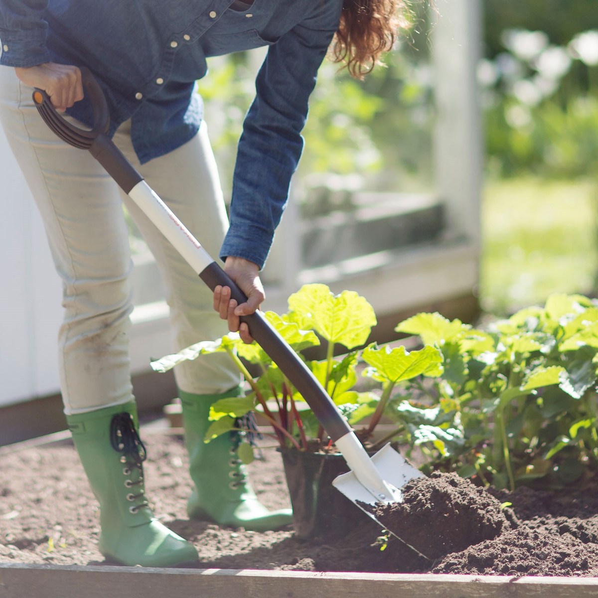 October in the garden - CountryLife Blog