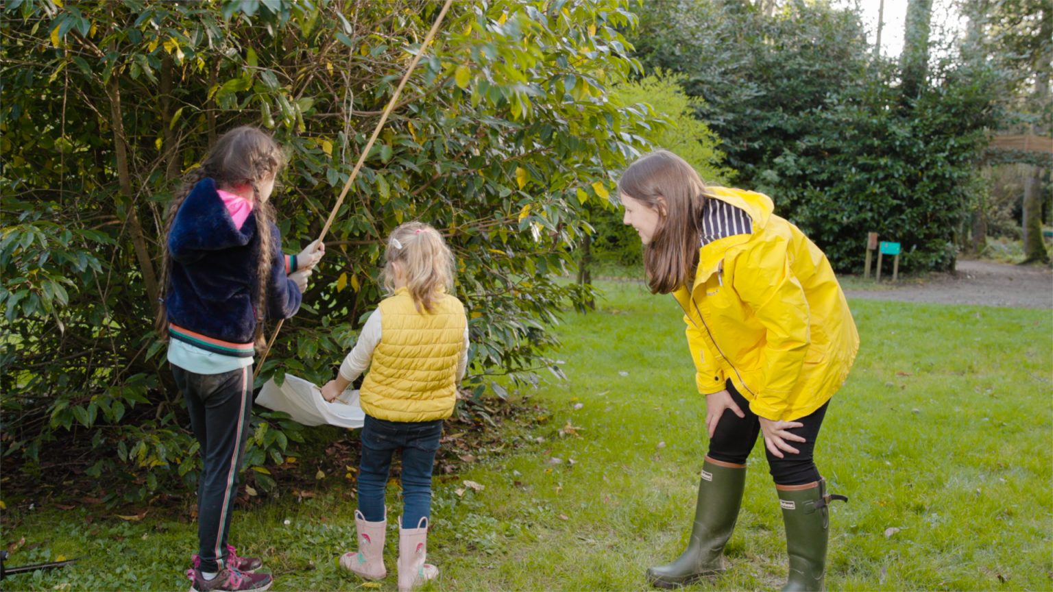Make a Beating Tray - CountryLife Blog