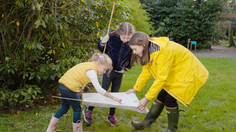 Make a Beating Tray - CountryLife Blog
