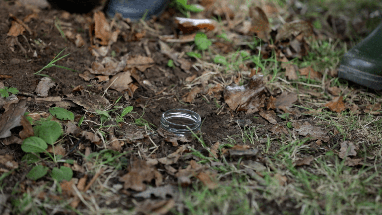 Make a Pitfall Trap - CountryLife Blog